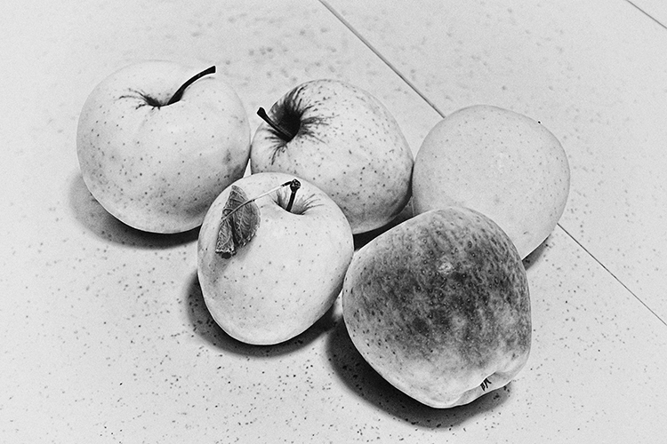 David Adler # USA # Five Golden Apples - Blank Wall Gallery